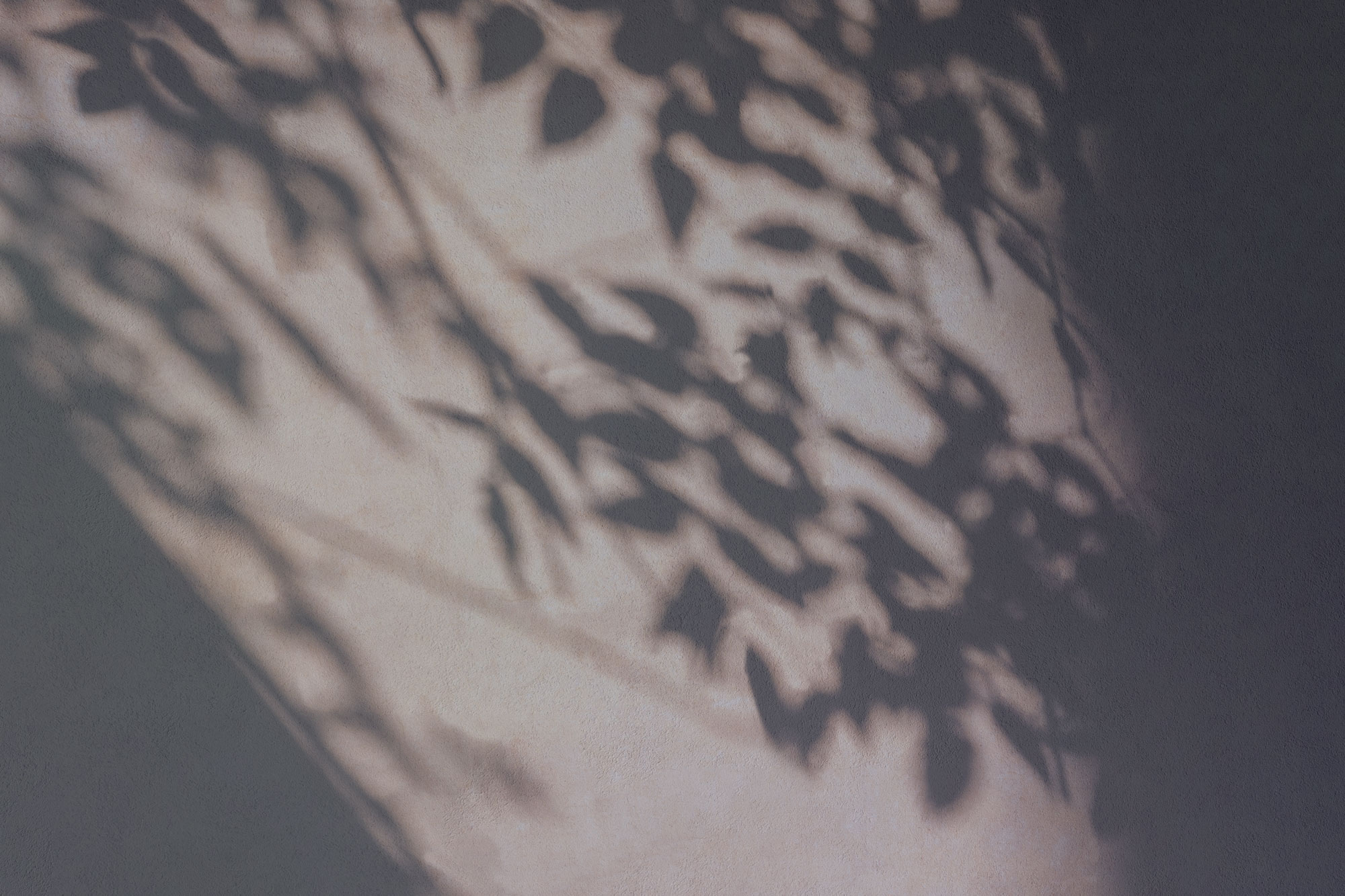 Trauma Treatment • The Center for Motivation & Change